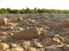 World Day to Combat Desertification | Both ENDS